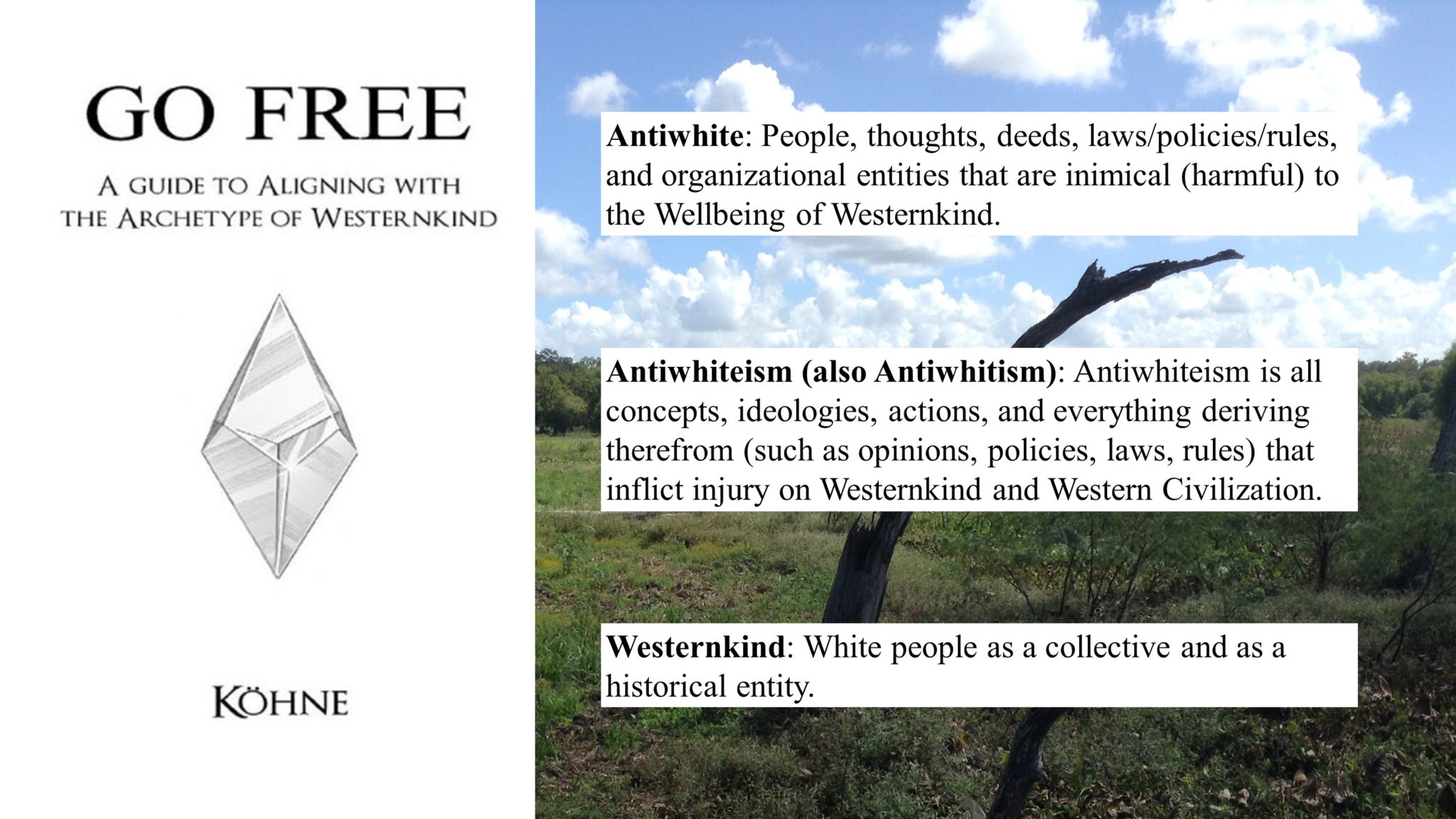 What Is Loxism and Anti-Whiteism? - Knowledge Is Power!